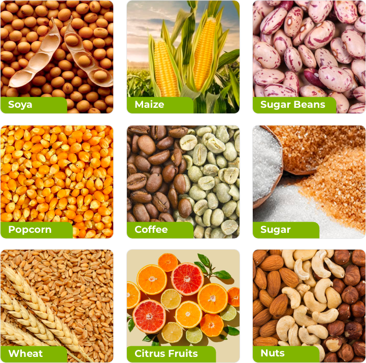 Nels Commodities Pty Ltd | Foxfin Services